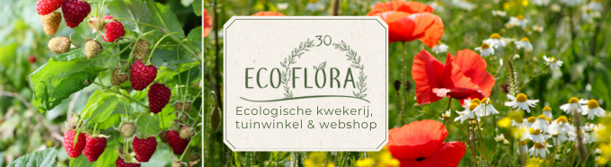 Rijksregisternummer | Velt